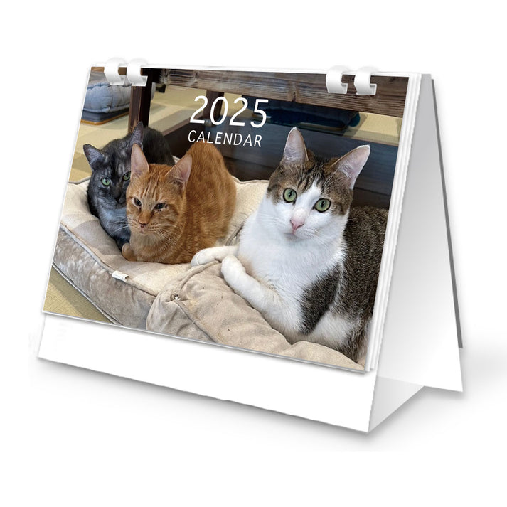 小判つる姫あさひカレンダー2025 – GoodsFy