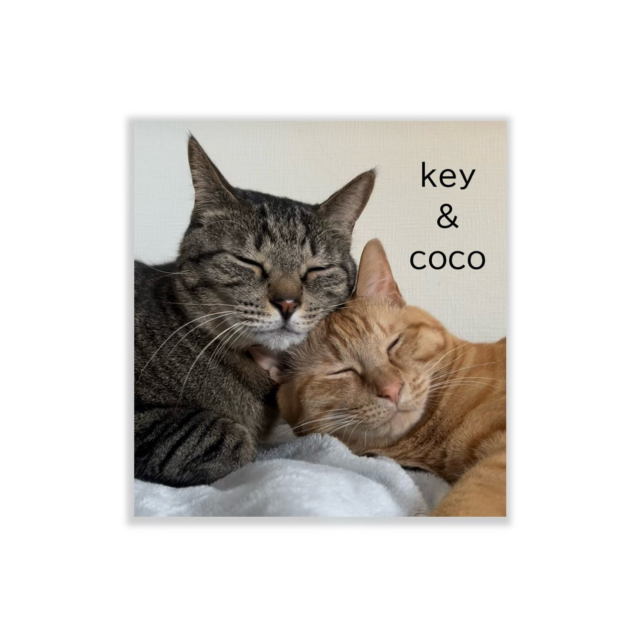 key&coco ステッカー – GoodsFy